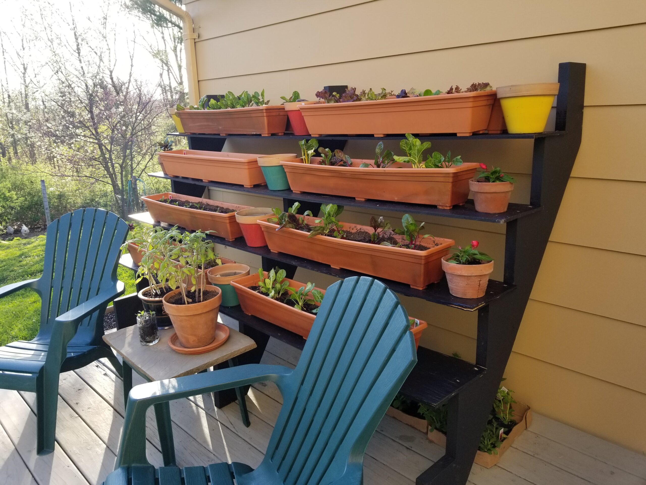 Tiered Salad Garden - WIT Advisers